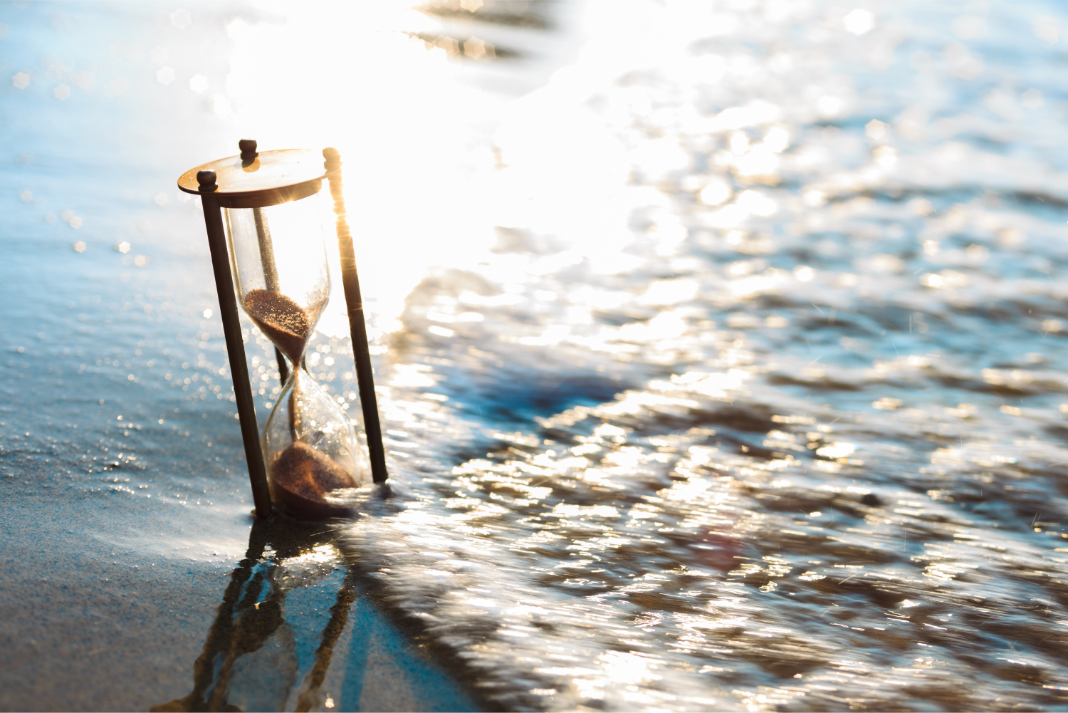 The Memory of Water – Coma Organics